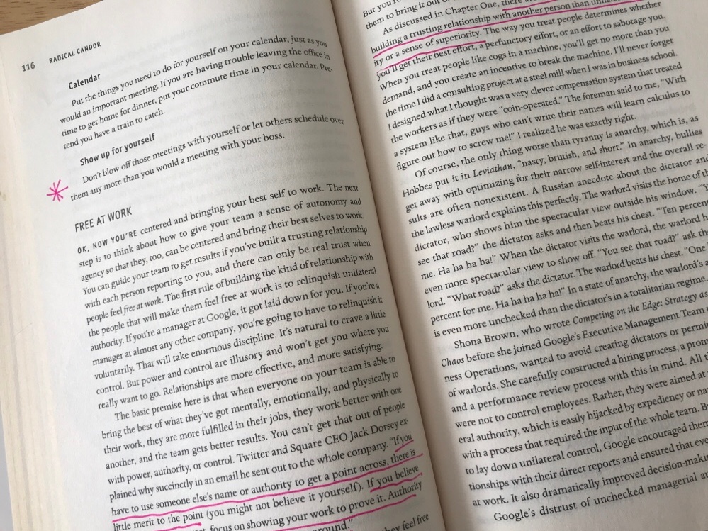 To write or not to write…in a book – Karen Alma